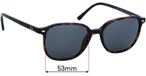 Ray-Ban RB2193 Leonard 53mm Lens Replacement
